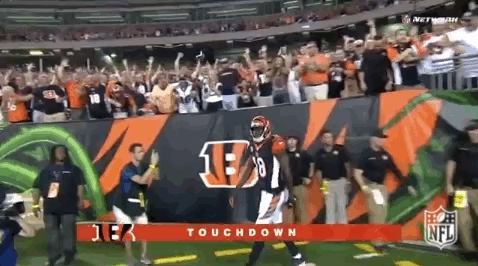 Cincinnati Bengals Football GIF by NFL - Find & Share on GIPHY