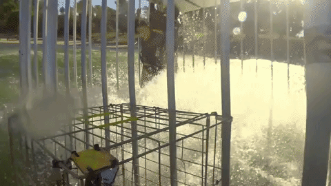 Fear Factor GIF - Find & Share on GIPHY