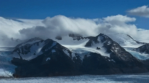 Chile GIF - Find & Share on GIPHY