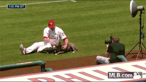 Phi GIF by MLB - Find & Share on GIPHY