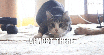 Reaction GIF - Find & Share on GIPHY