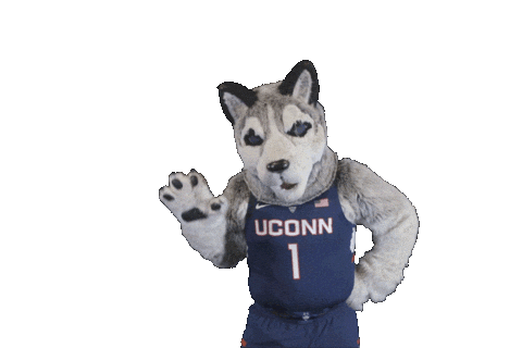 Cant What Sticker by UConn Huskies for iOS & Android | GIPHY