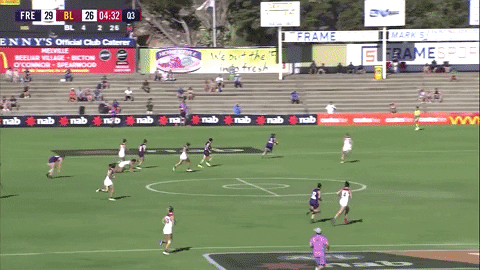 Afl Womens Foreverfreo GIF by Fremantle Dockers - Find & Share on GIPHY