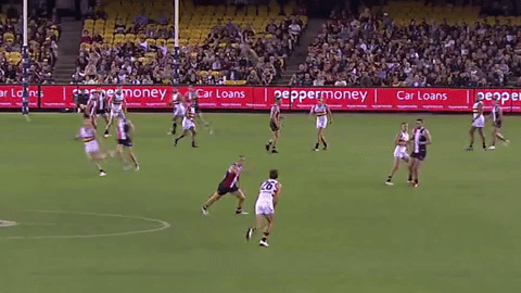 Afl Douglas GIF by Adelaide Crows - Find & Share on GIPHY