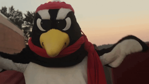 Football Mascot GIF by Youngstown State University - Find & Share on GIPHY