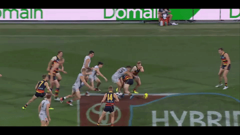 Spin Afl GIF by Adelaide Crows - Find & Share on GIPHY