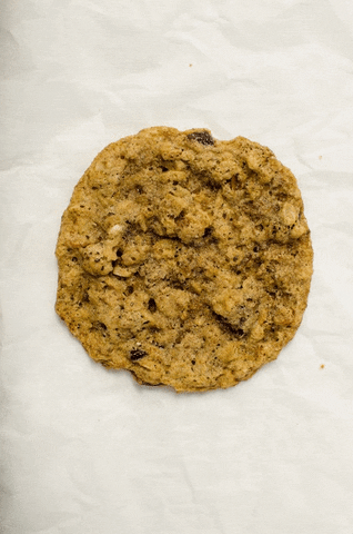Cookie GIF - Find & Share on GIPHY