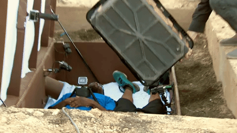 Fear Factor Rats GIF - Find & Share on GIPHY