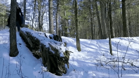 Snow Chicago GIF by Polyvinyl Records - Find & Share on GIPHY