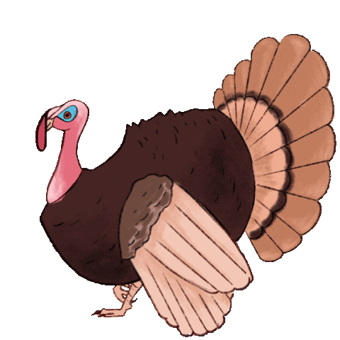 Bird Walk Sticker by Bare Tree Media for iOS & Android | GIPHY