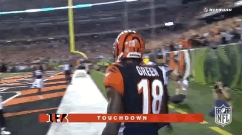 Cincinnati Bengals Football GIF by NFL - Find & Share on GIPHY