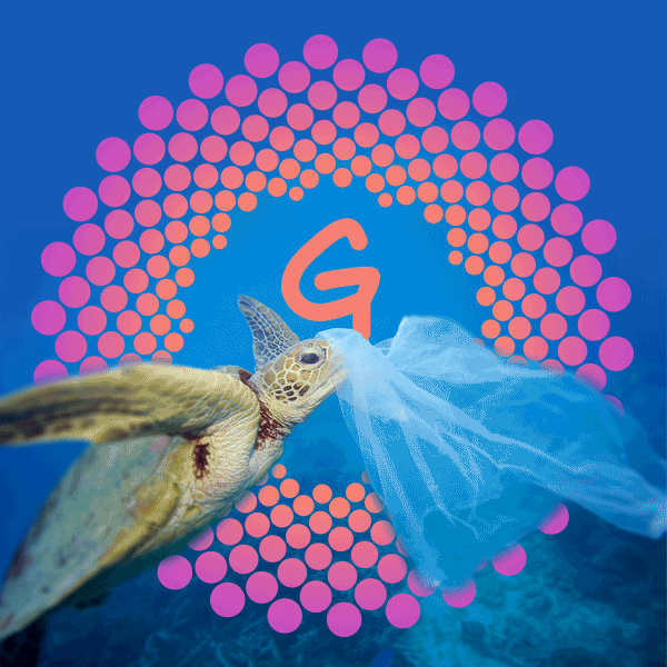 Plastic GIF - Find & Share on GIPHY