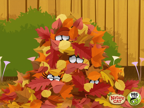 Playing Outside Hide And Seek GIF by PBS KIDS - Find & Share on GIPHY