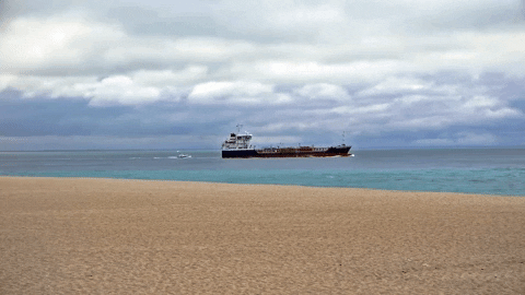 Beach Portugal GIF by For 91 Days - Find & Share on GIPHY