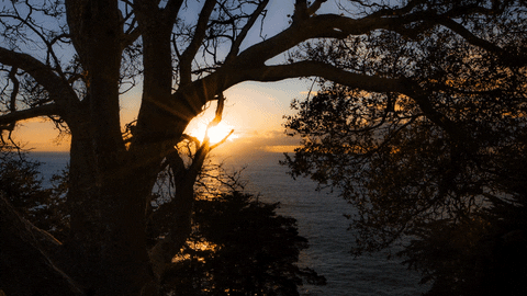 Loop Sunset GIF - Find & Share on GIPHY