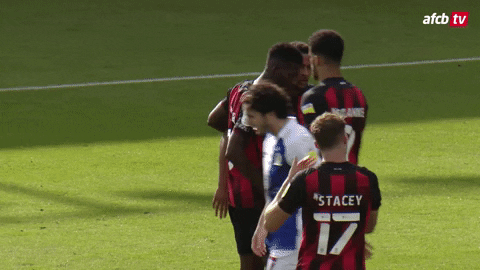 Happy Goal GIF by AFC Bournemouth - Find & Share on GIPHY