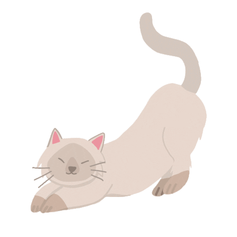 Cat Stretch Sticker for iOS & Android | GIPHY