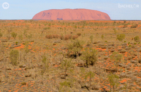 Northern Territory Aussie GIF by The Bachelor Australia - Find & Share ...
