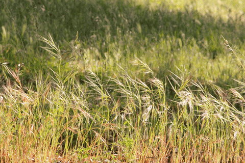 Breezy GIF - Find & Share on GIPHY