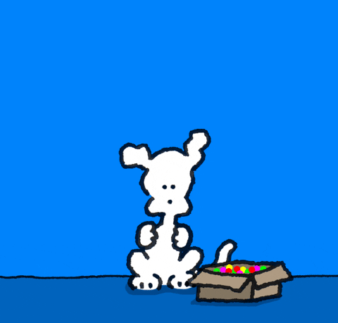 Yay! GIF by Chippy the dog - Find & Share on GIPHY