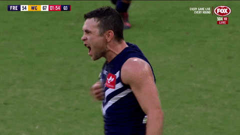 2018 Season Football GIF by AFL - Find & Share on GIPHY