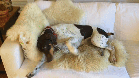 Snuggling Heart Of Television GIF by Hallmark Channel - Find & Share on ...
