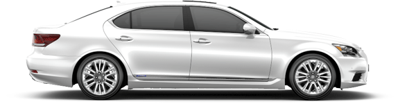 Transparent GIF Sticker - Find & Share on GIPHY