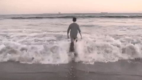Beach Ocean GIF by Space Oddity Films - Find & Share on GIPHY