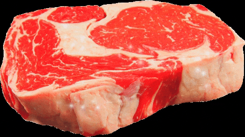 Hungry Meat GIF by Massive Science - Find & Share on GIPHY