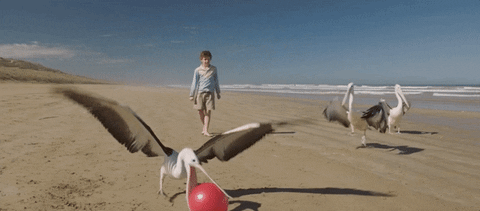 Beach Play GIF by Good Deed Entertainment - Find & Share on GIPHY