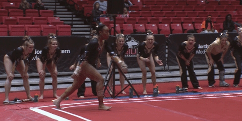 Gymnastics Niu GIF by Northern Illinois University - Find & Share on GIPHY
