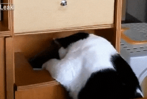Cupboard GIFs - Find & Share on GIPHY