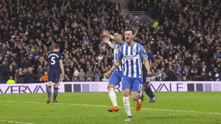 Gross GIF by Brighton & Hove Albion Football Club - Find & Share on GIPHY