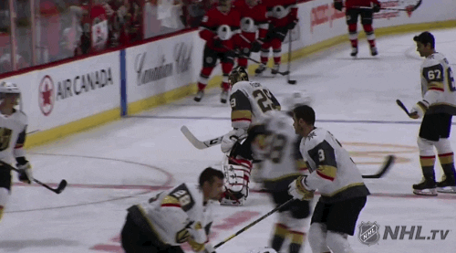Ice Hockey Jump GIF by NHL - Find & Share on GIPHY