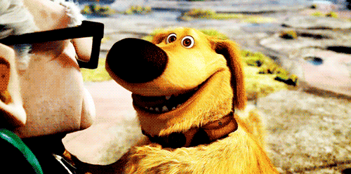 Doug GIF - Find & Share on GIPHY