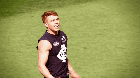 Carlton Fc GIF by Carlton Football Club - Find & Share on GIPHY
