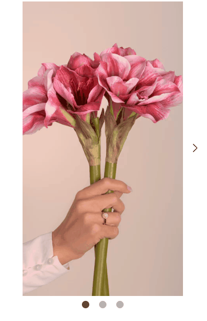 GitHub - YvonneD/carousel-sliders: learned from Kevin Powell