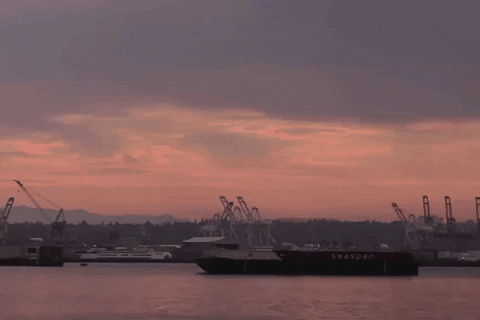 Washington Seattle GIF - Find & Share on GIPHY