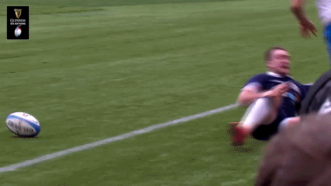 Awesome 6 Nations GIF by Guinness Six Nations - Find & Share on GIPHY