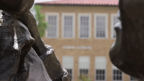 Texas Tech Lubbock GIF by Texas Tech University College of Human ...