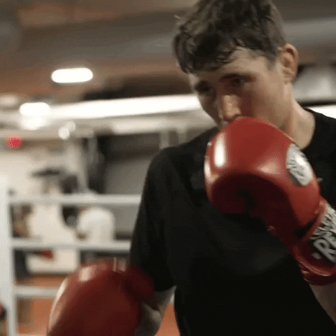 Fight Ufc GIF by Gymshark - Find & Share on GIPHY