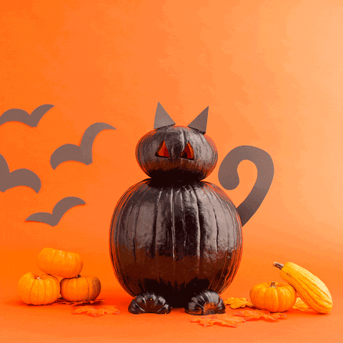Pumpkin GIF - Find & Share on GIPHY