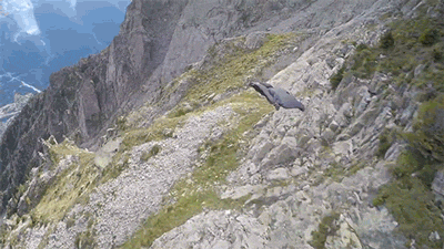 Base Jumping Why U Do Dis GIF by Digg - Find & Share on GIPHY