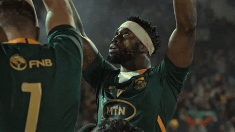 Attention keyboard warriors! Some new Bok gifs on giphy. : r/springboks