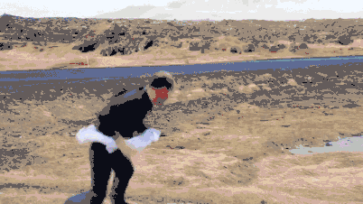 Wind GIF - Find & Share on GIPHY