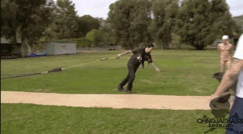 Jackass 3 GIF - Find & Share on GIPHY