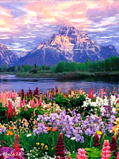 Landscape GIF - Find & Share on GIPHY