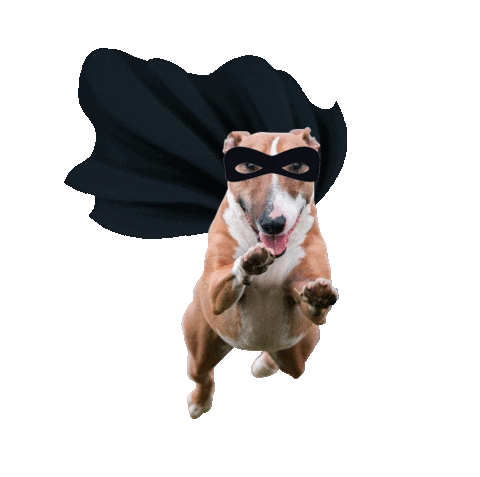 Dog Batman Sticker by Tales&Tails for iOS & Android | GIPHY