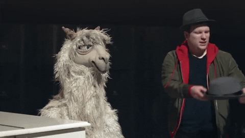 Patrick Stump Mania GIF by Fall Out Boy - Find & Share on GIPHY