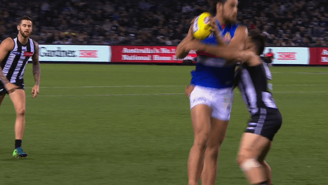 Winner Win GIF by CollingwoodFC - Find & Share on GIPHY